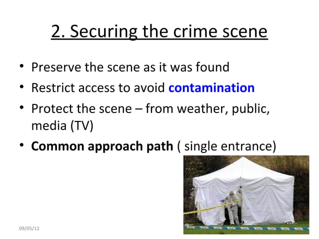 Investigating a crime scene | PPT | Crime & Harmful Acts to Individuals ...