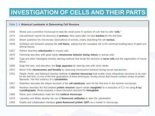 Investigating cells | PPTX