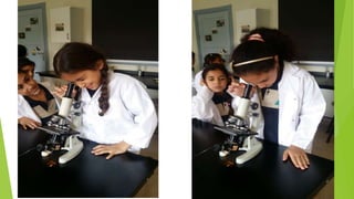 Investigating decomposing of bread g3 pics | PPT