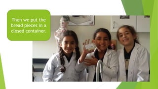 Investigating decomposing of bread g3 pics | PPT