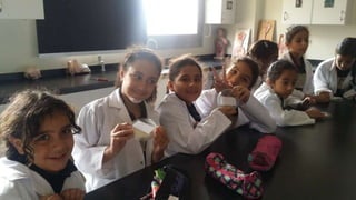 Investigating decomposing of bread g3 pics | PPT