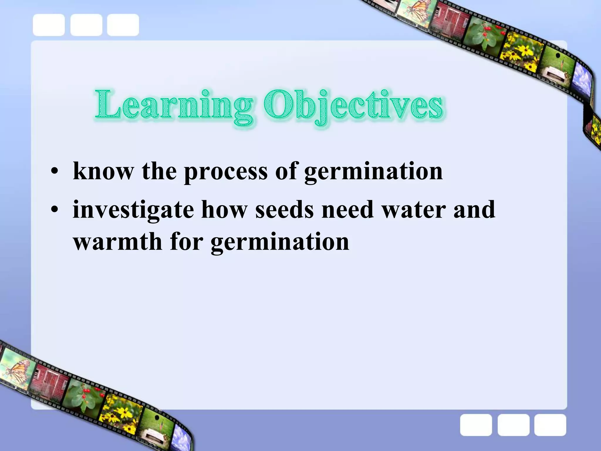 Investigating plant growth | PPT