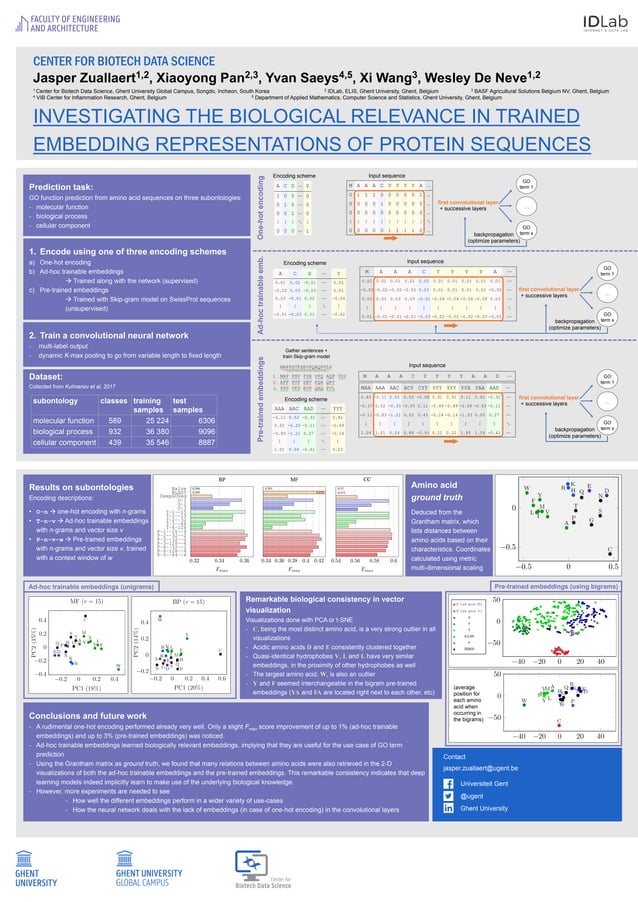 Investigating the biological relevance in trained embedding representations of protein sequences ...