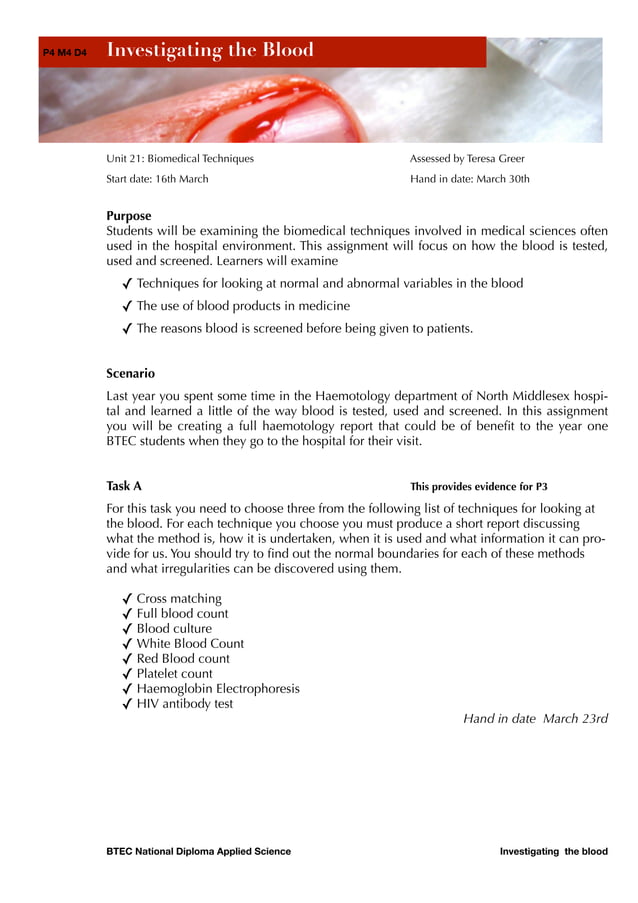 Investigating The Blood Assignment | PDF