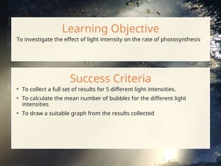 Investigating the Effect of Light Intensity - PowerPoint.ppt