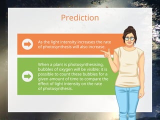 Investigating the Effect of Light Intensity - PowerPoint.ppt
