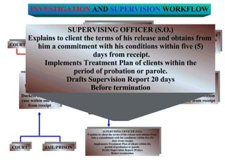 Investigation And Supervision Workflow (Presentation) | PPT