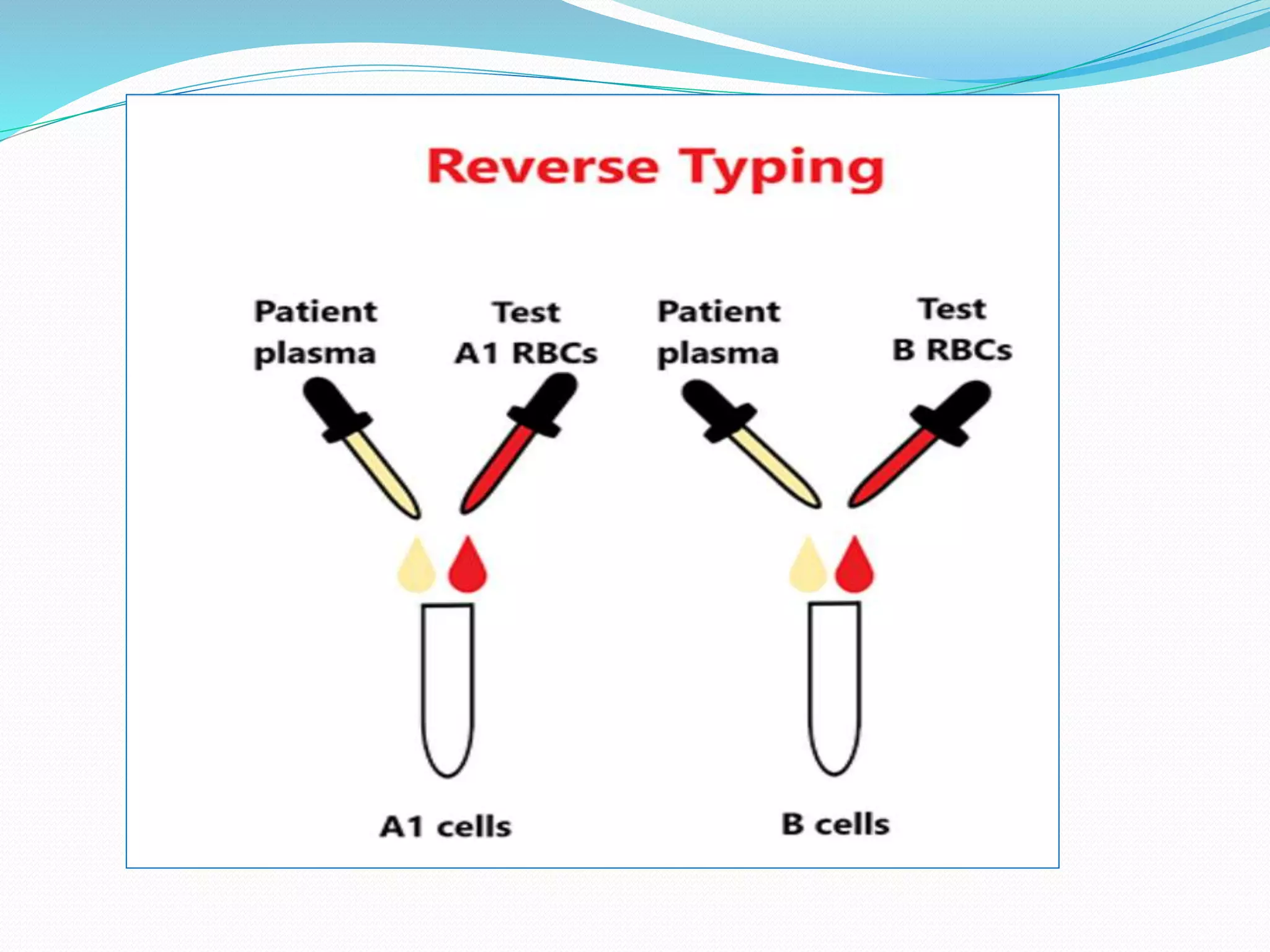 Investigation in mismatch blood transfusion.pptx