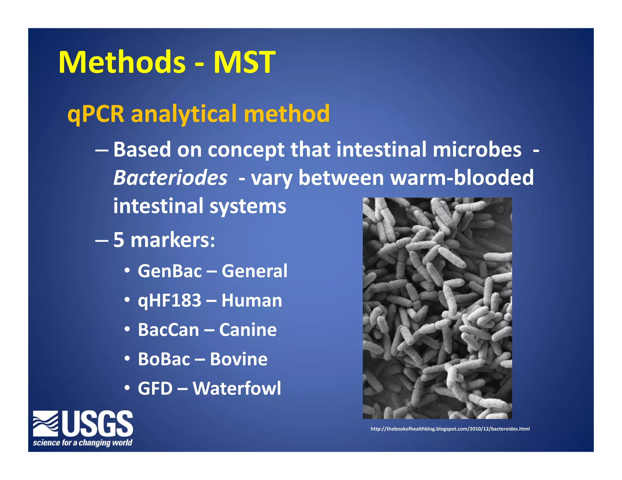 Investigation of fecal contamination cherry | PDF