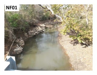 Investigation of fecal contamination cherry | PDF