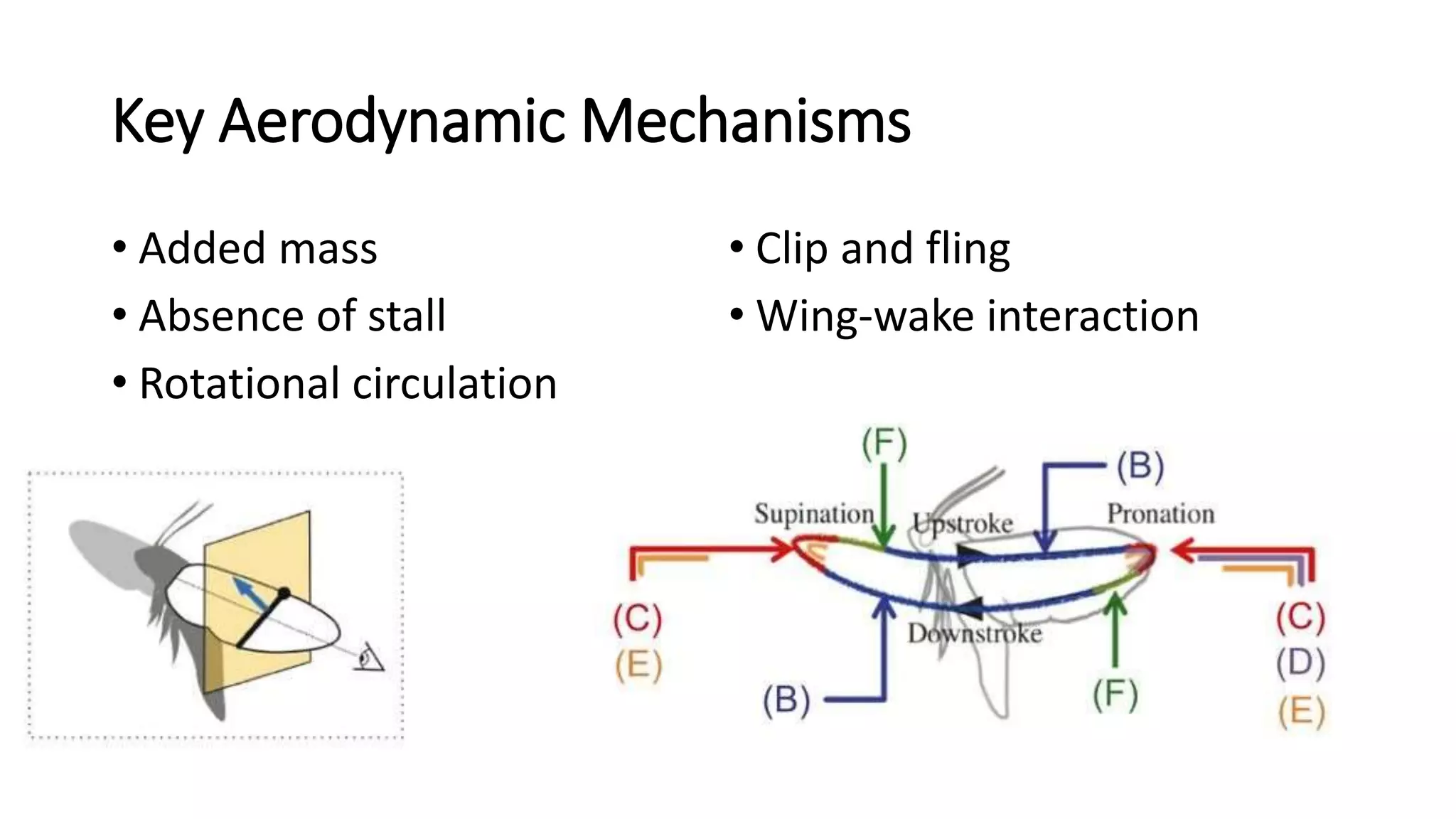 Investigation of flapping wing aerodynamics | PPTX