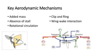 Investigation of flapping wing aerodynamics | PPTX