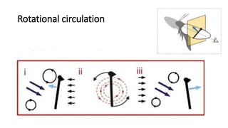 Investigation of flapping wing aerodynamics | PPTX