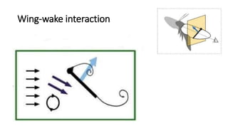 Investigation of flapping wing aerodynamics | PPTX