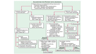 Investigation of jaundice | PPTX
