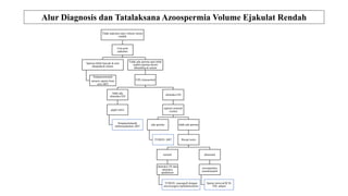 evaaluasi pada pasien infertilitas pria.pptx