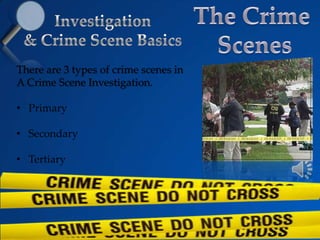 Investigation powerpoint | PPTX