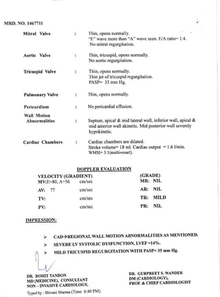 INVESTIGATION REPORTS.PDF