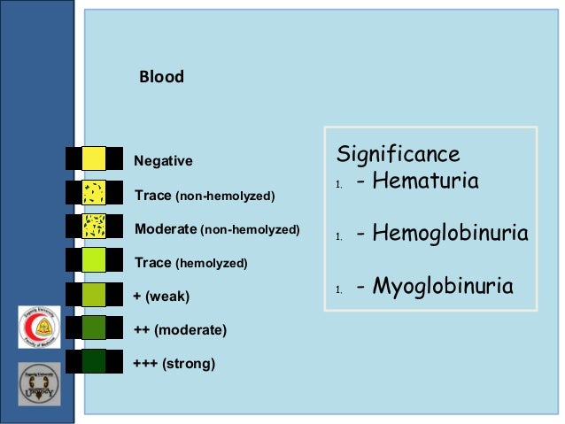 Investigations of Urology