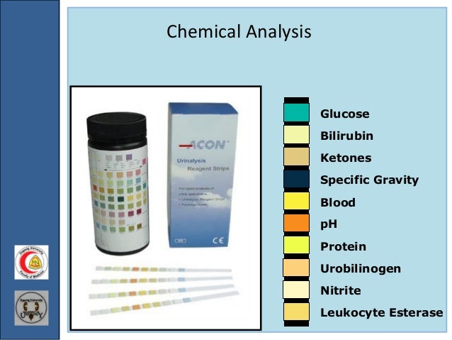 Investigations Of Urology investigations-of-urology
