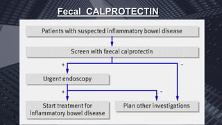 Investigations CROHNS Disease.pptx