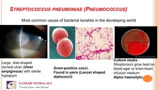 Investigations in a case of corneal ulcer in a clinic setting what to ...