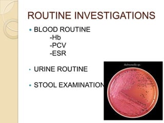 Investigations in lower gastrointestinal bleed | PPTX