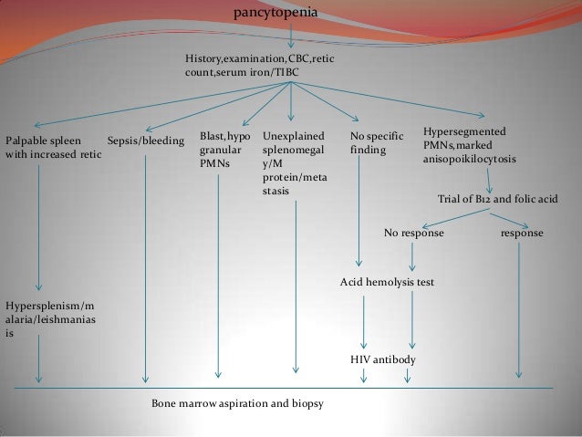Investigations of pancytopenia