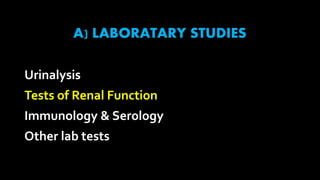 Investigations of renal diseases.pptx