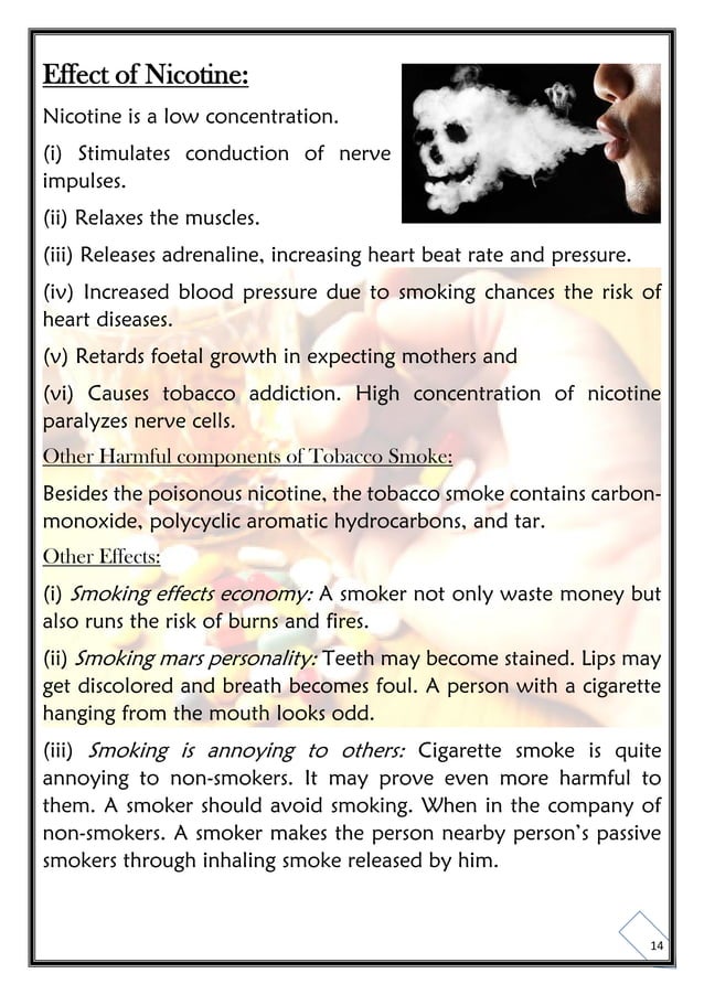 Class 12 Biology Investigatory Project CBSE | PDF