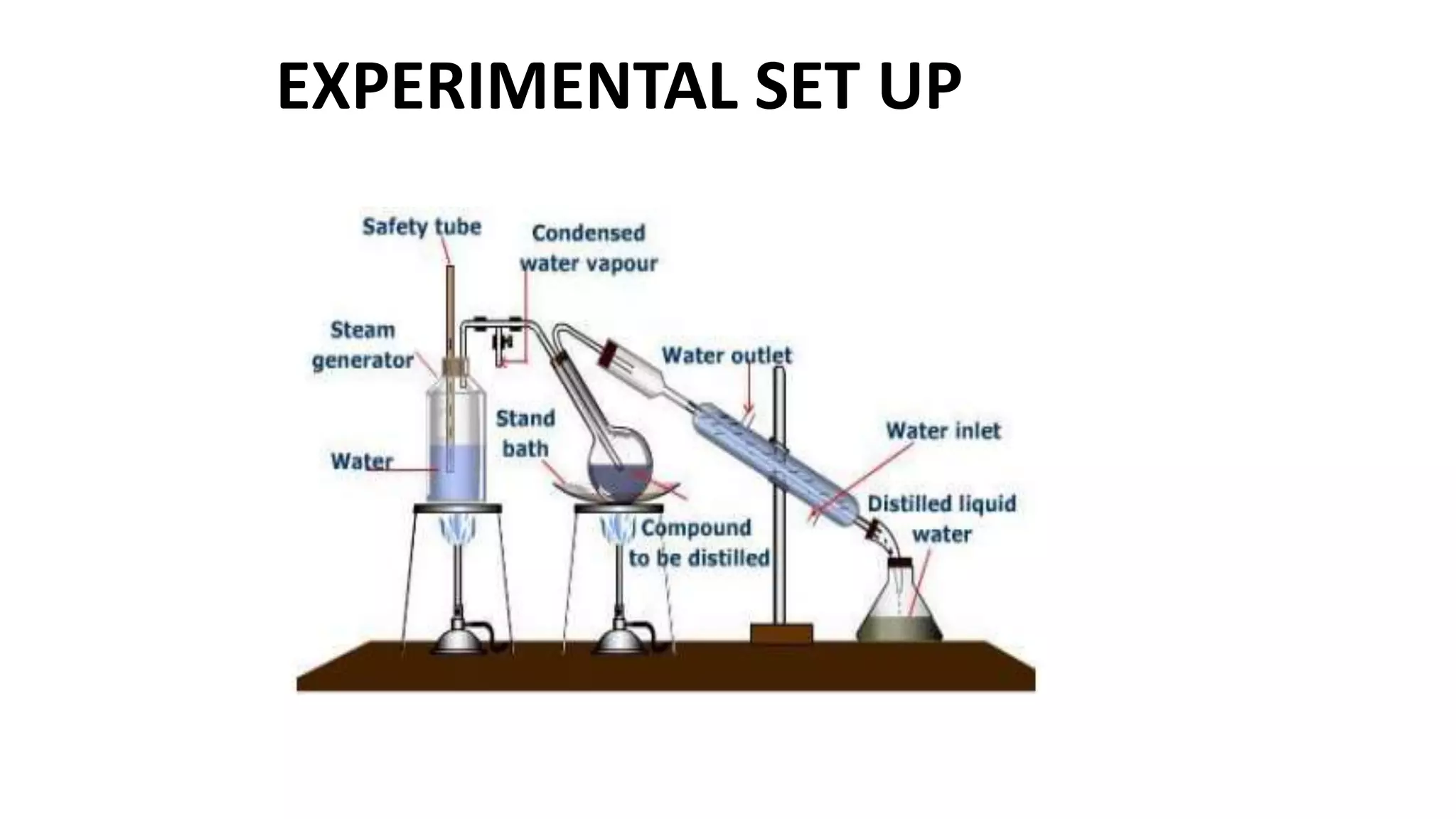 Extraction of Essential Oils-INVESTIGATORY PROJECT.pptx