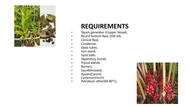 Extraction of Essential Oils-INVESTIGATORY PROJECT.pptx | Perfume and ...