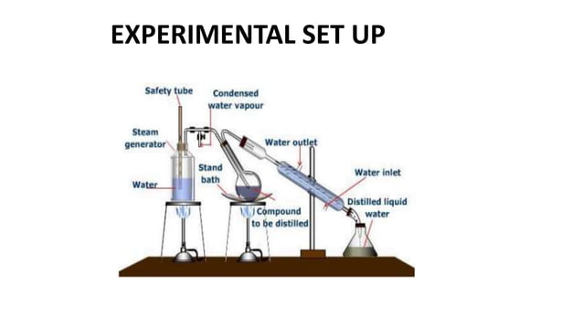 Extraction of Essential Oils-INVESTIGATORY PROJECT.pptx | Perfume and ...