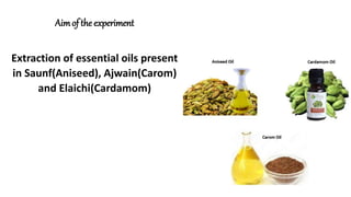 Extraction of Essential Oils-INVESTIGATORY PROJECT.pptx