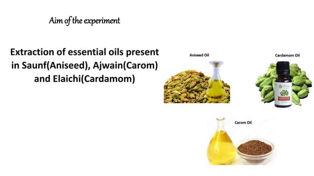 Extraction of Essential Oils-INVESTIGATORY PROJECT.pptx | Perfume and Fragrance | Beauty