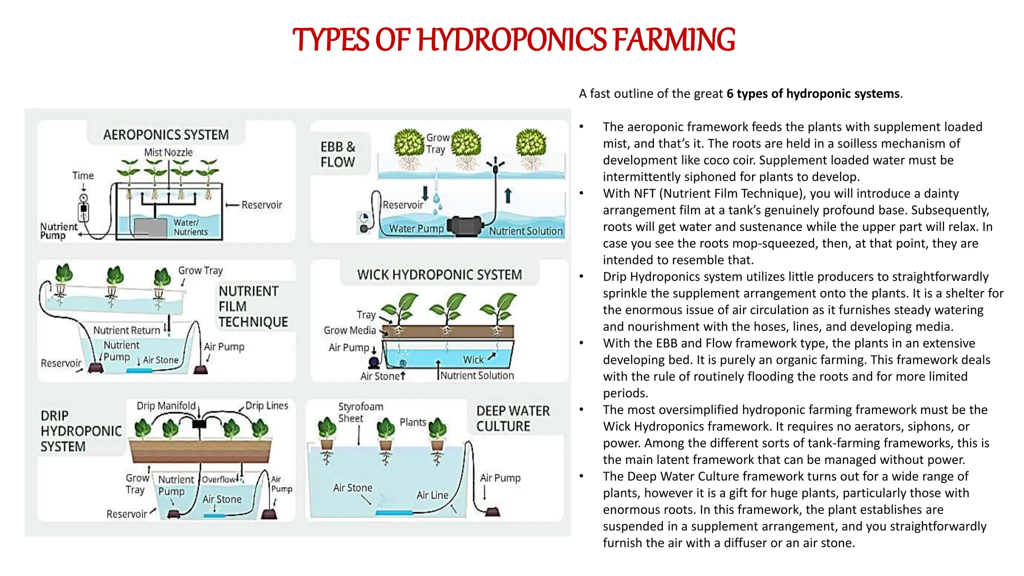 Hydroponic based Vertical farming: Biology INVESTIGATORY PROJECT.pptx