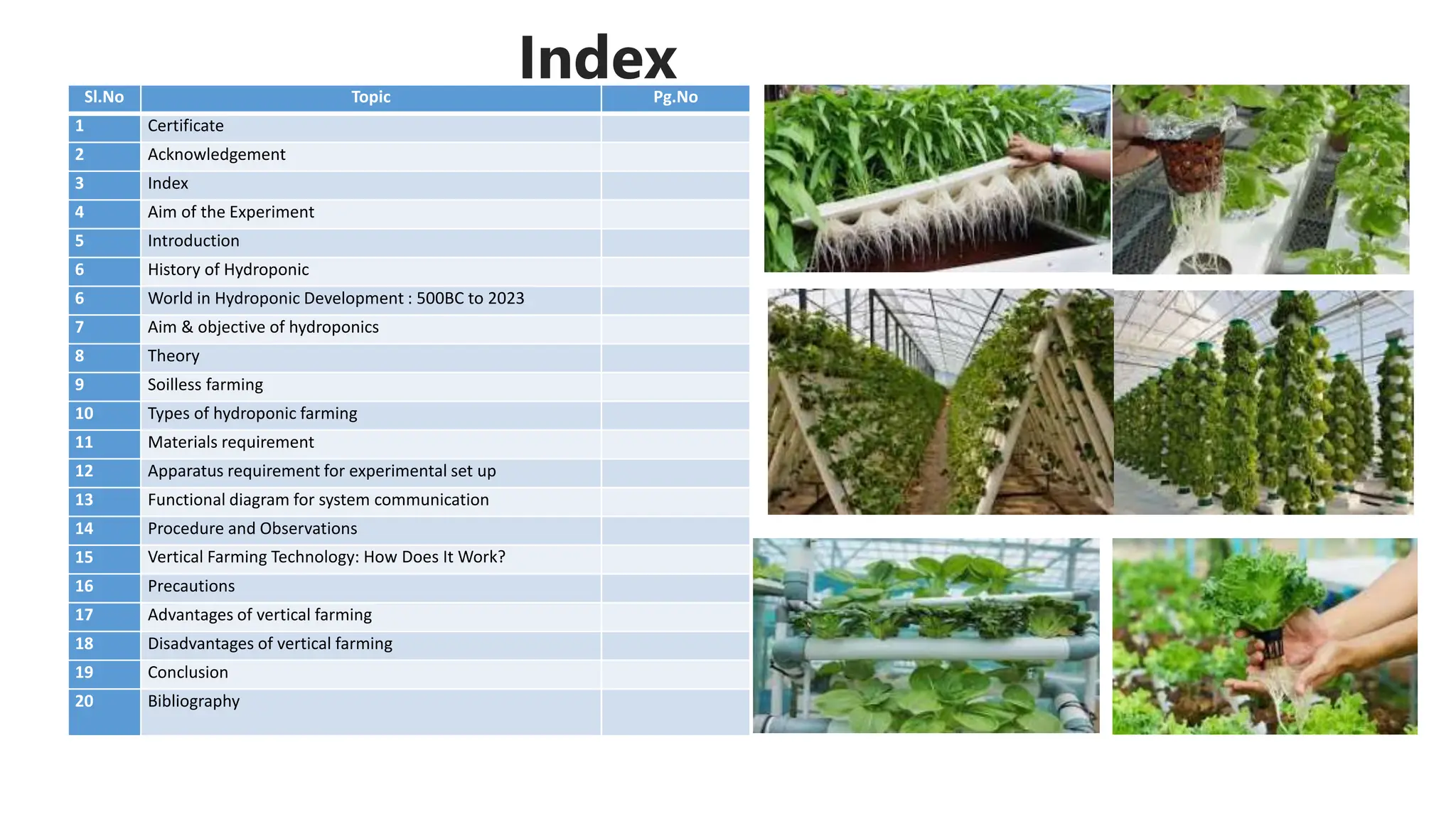 Hydroponic based Vertical farming: Biology INVESTIGATORY PROJECT.pptx