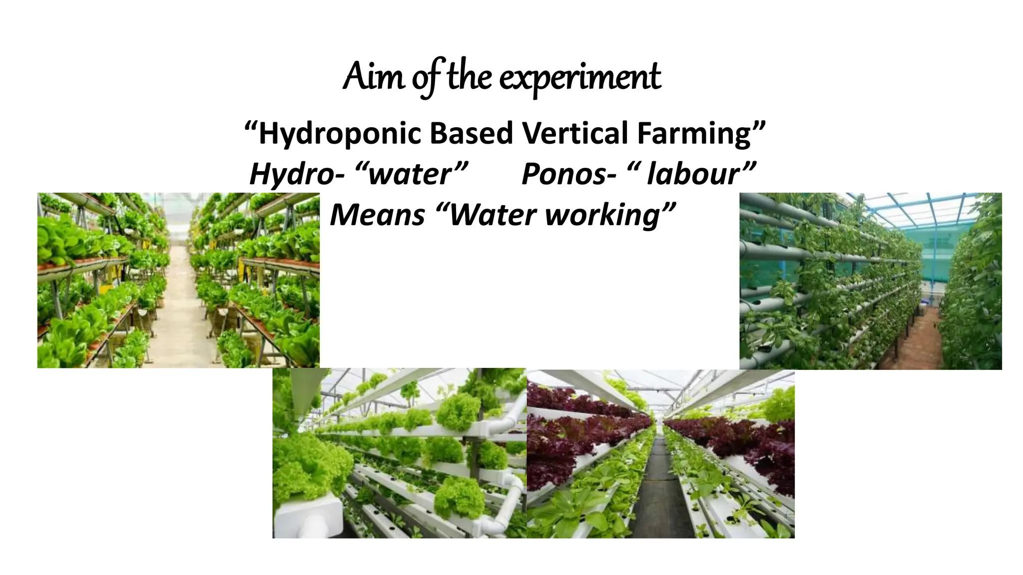 Hydroponic based Vertical farming: Biology INVESTIGATORY PROJECT.pptx
