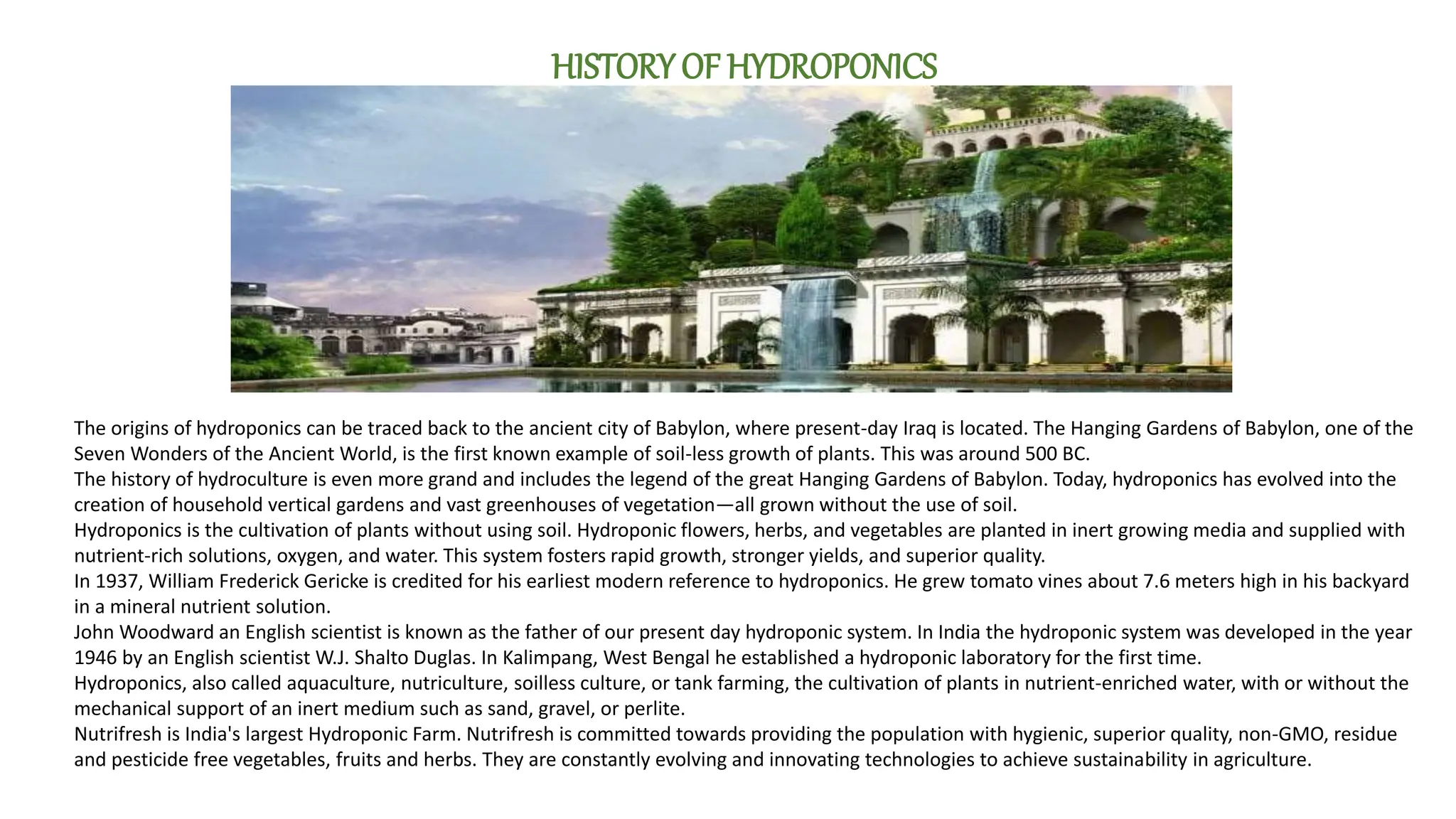Hydroponic based Vertical farming: Biology INVESTIGATORY PROJECT.pptx