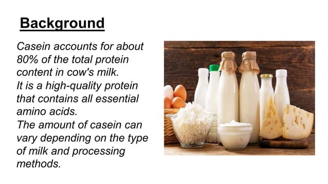 Investigatory Project On Amount Of Casein In Milk.pptx