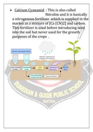 Investigatory project on fertilizer | PDF
