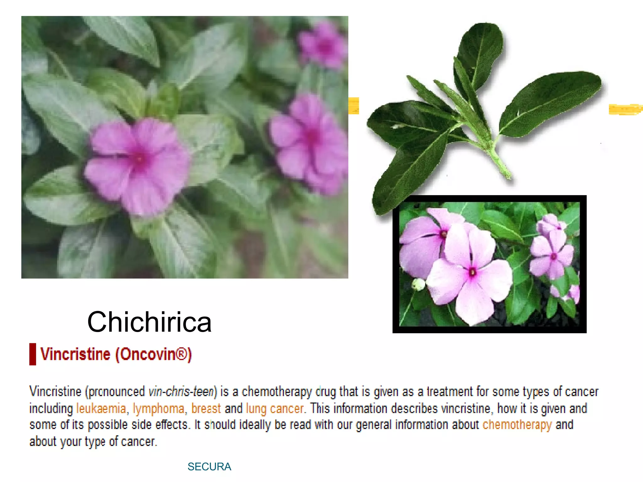 Investing in Agribusiness (Pamumuhunan sa Agribusiness) | PPT