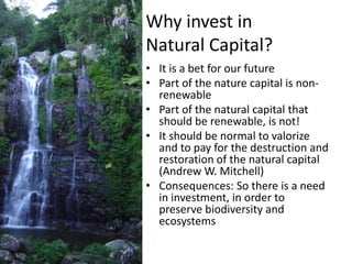 Investing in natural capital | PPTX