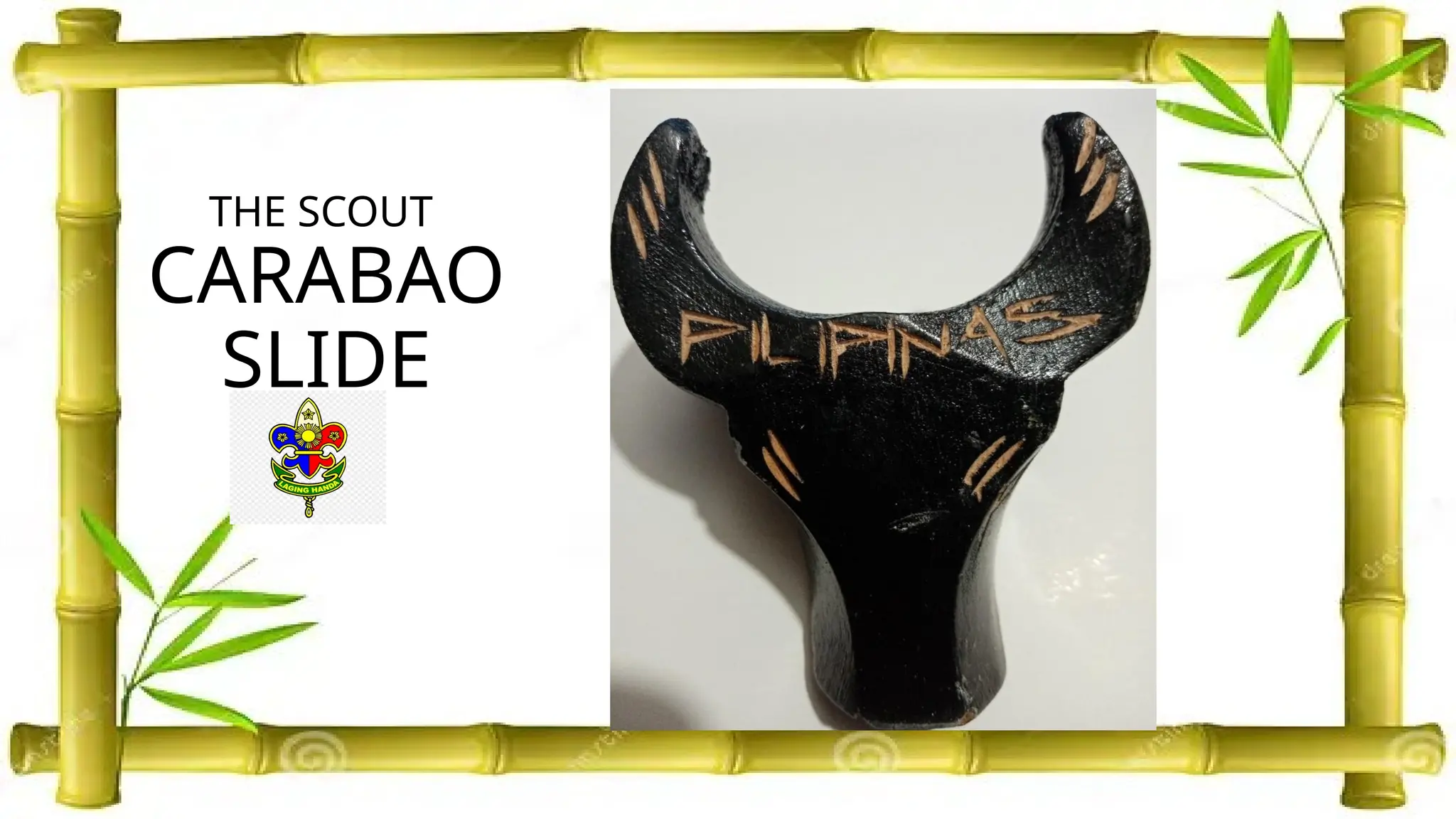 INVESTITURE CEREMONY for BSP New members | PPTX