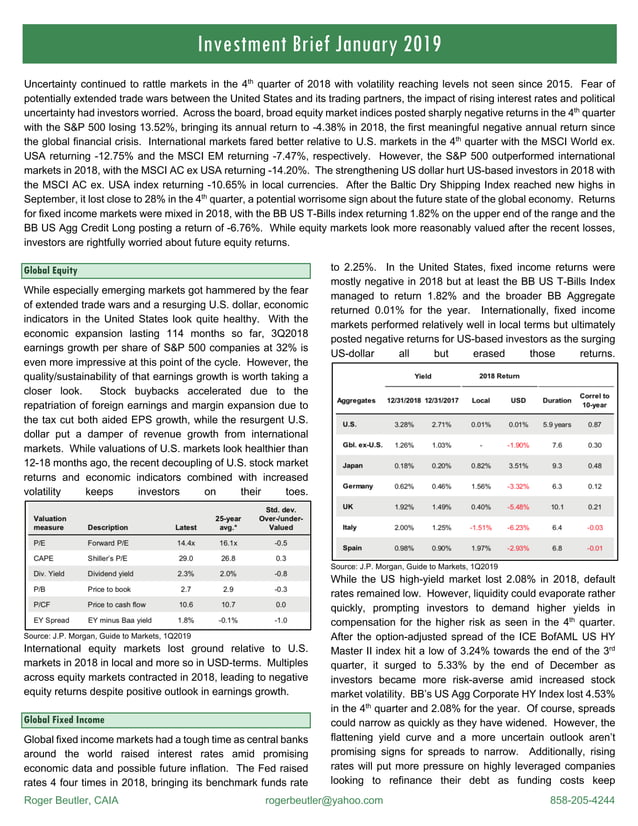 Investment Brief January 2019 | PDF