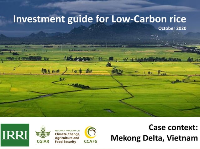 Investment guide for low-carbon rice | PDF