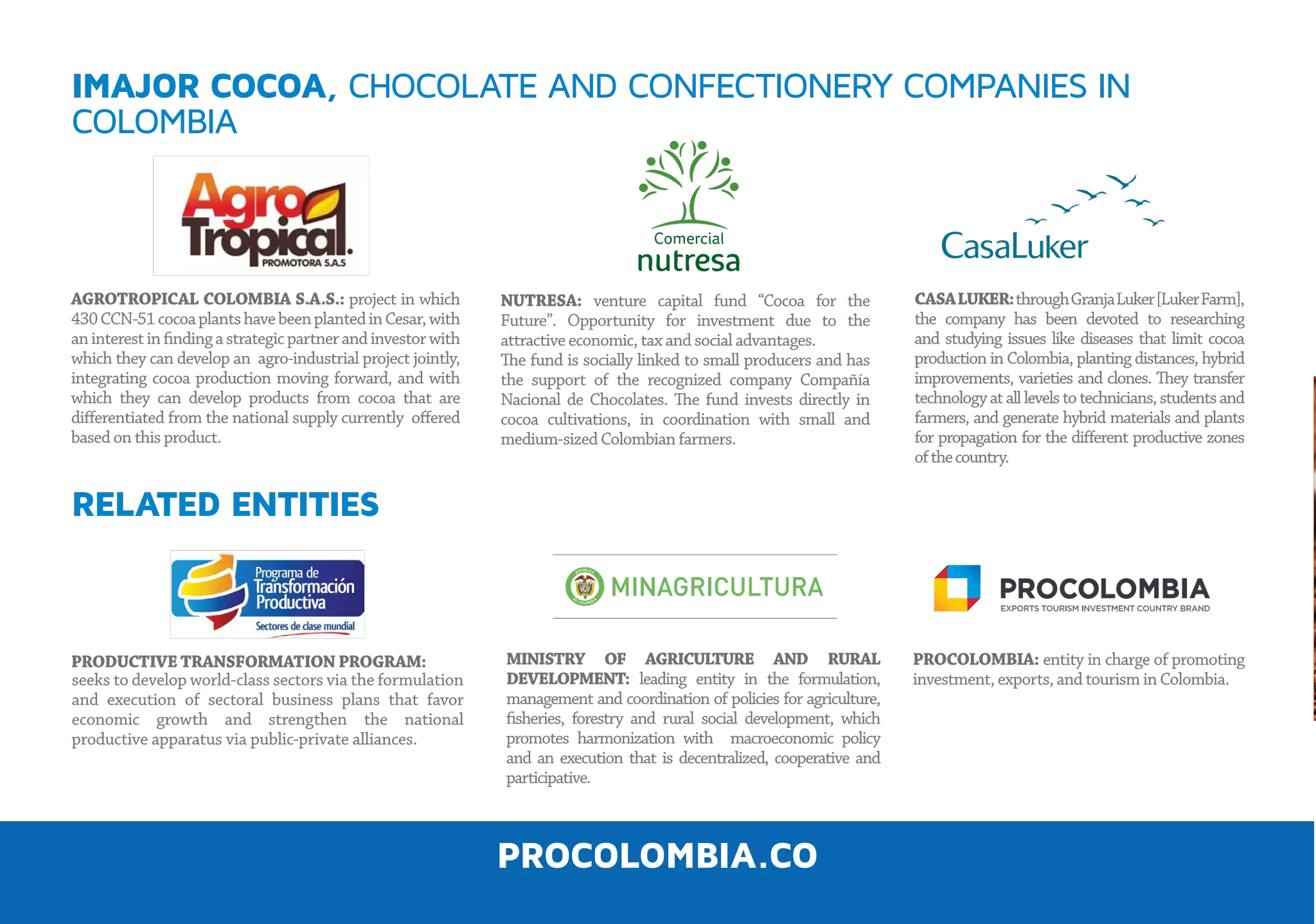 Investment in cocoa, chocolate and the confectionery | PDF