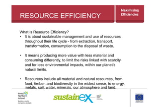 Sustainex 2013 - InvestNI Resource Efficiency Waste Minimisation Trevor ...