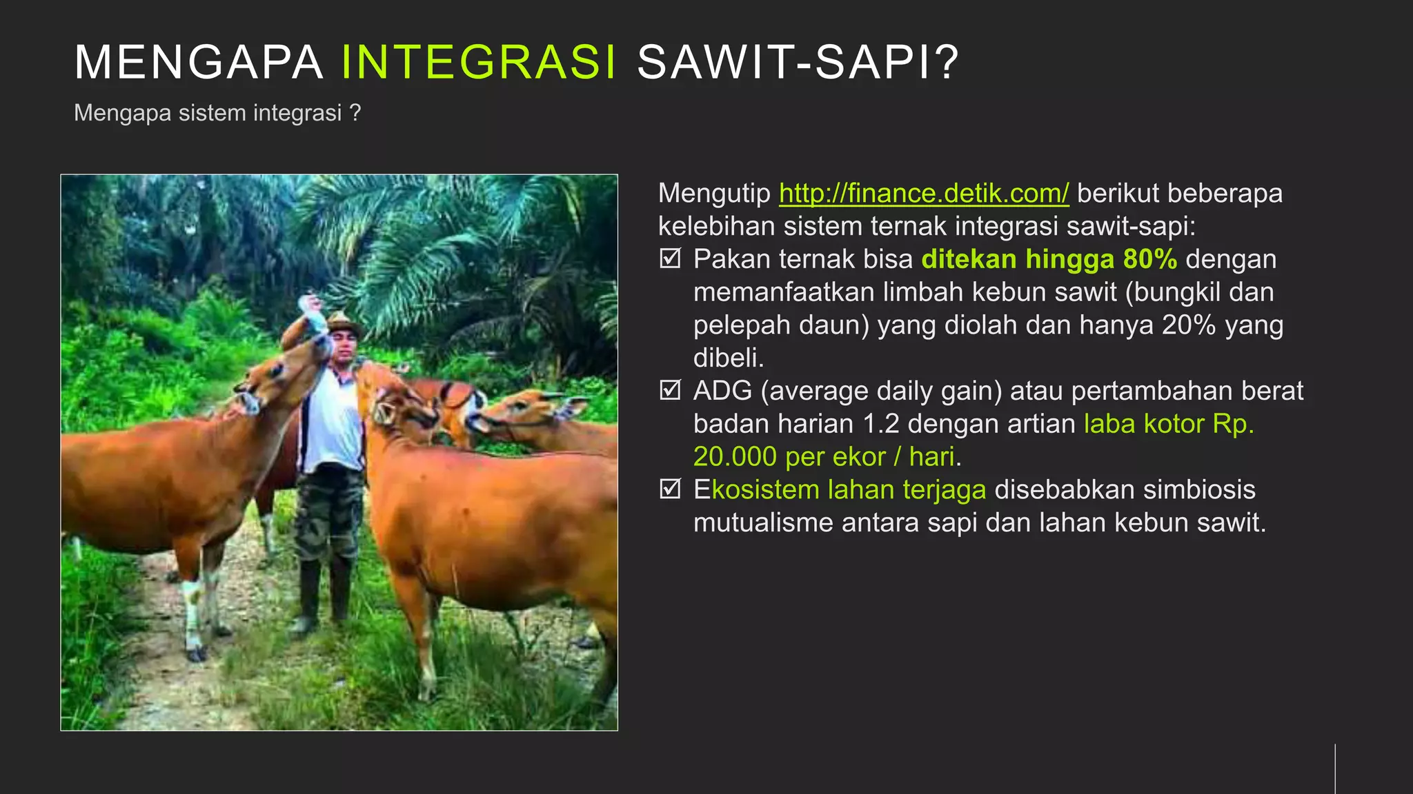 INVESTOR PRESENTATION - INVESTASI SAPI POTONG (INTEGRASI SAWIT - SAPI ...