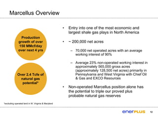 Enerplus 2011 Overview | PPT